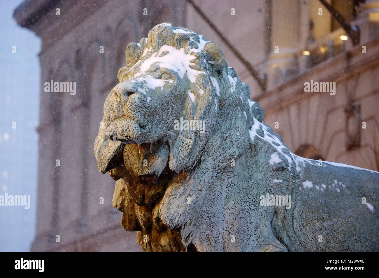 Chicago, USA. 5th Feb, 2018. A bronze lion statue is covered with snow ...
