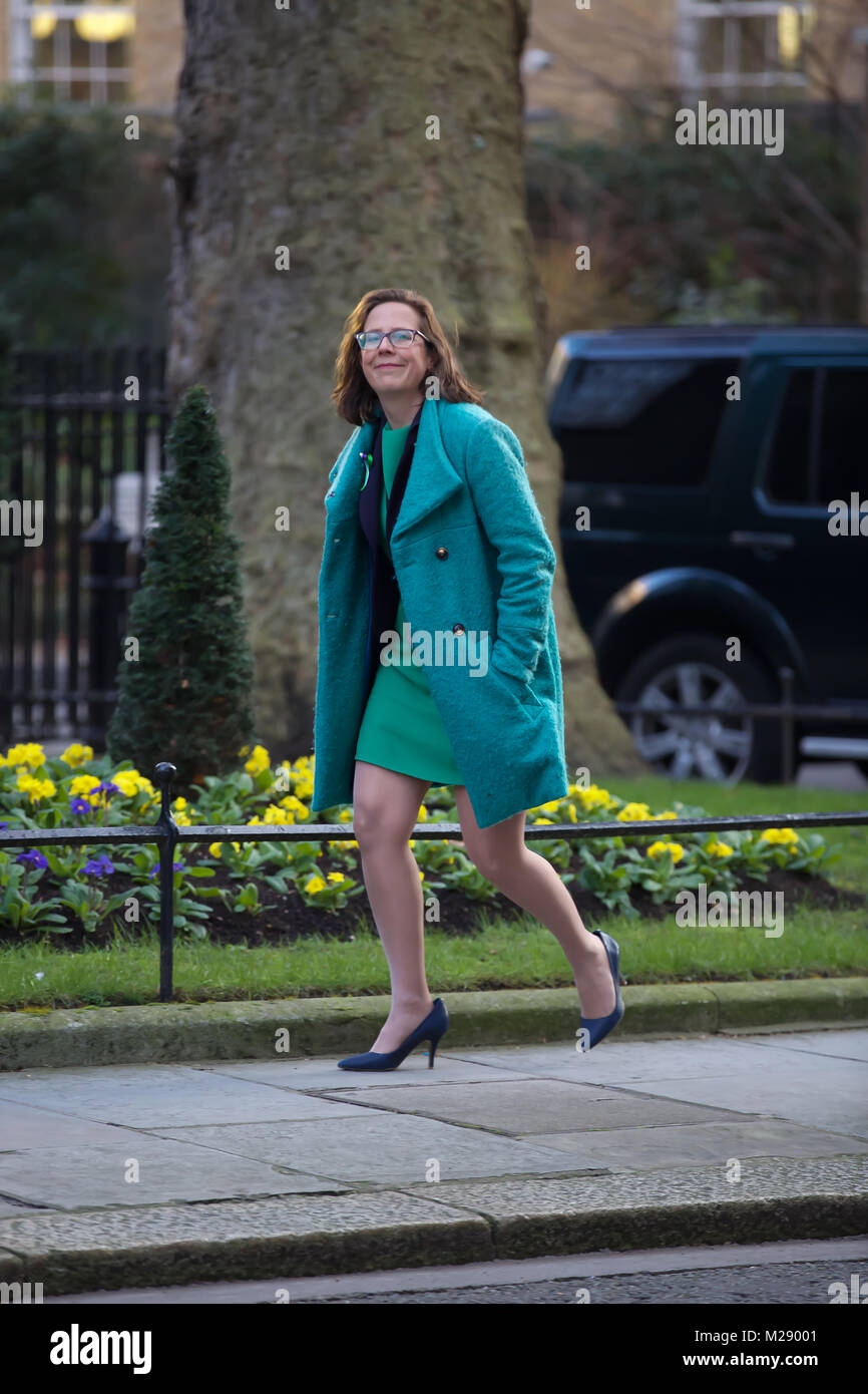 London,UK,6th February 2018,Baroness Evans of Bowes Park attends the ...