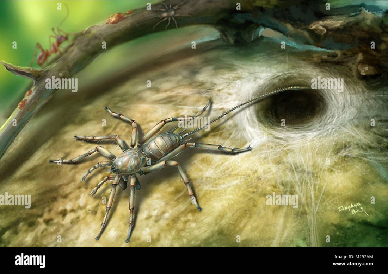 100 million years old hi-res stock photography and images - Alamy