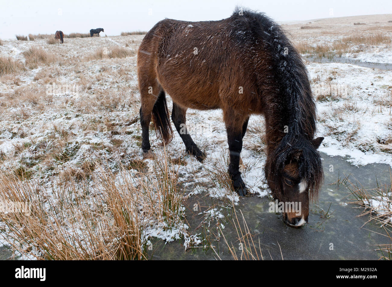 Bulth wells hi-res stock photography and images - Alamy