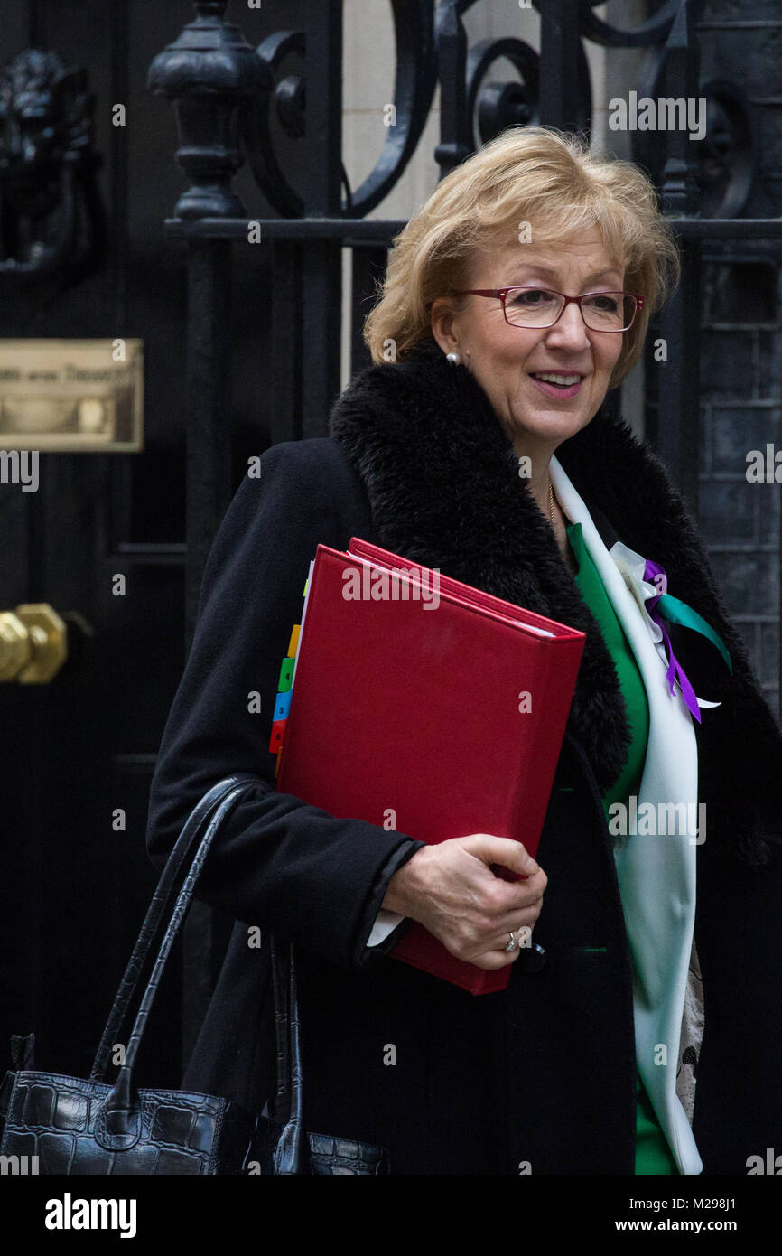 Leader house commons andrea leadsom leaving 10 downing street hi-res ...