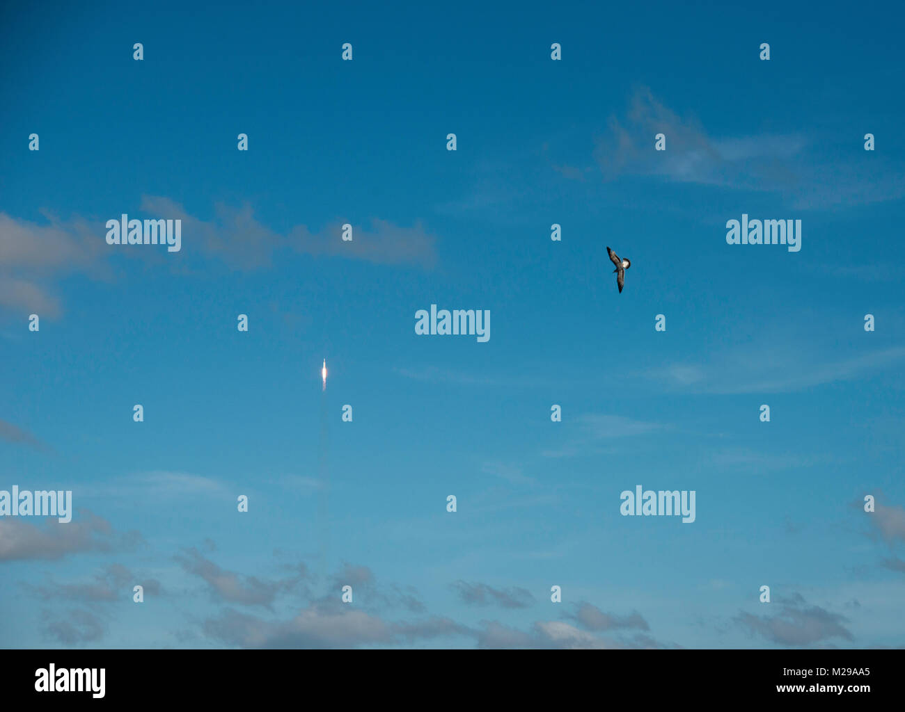 Spacex falcon heavy launch hi-res stock photography and images - Alamy