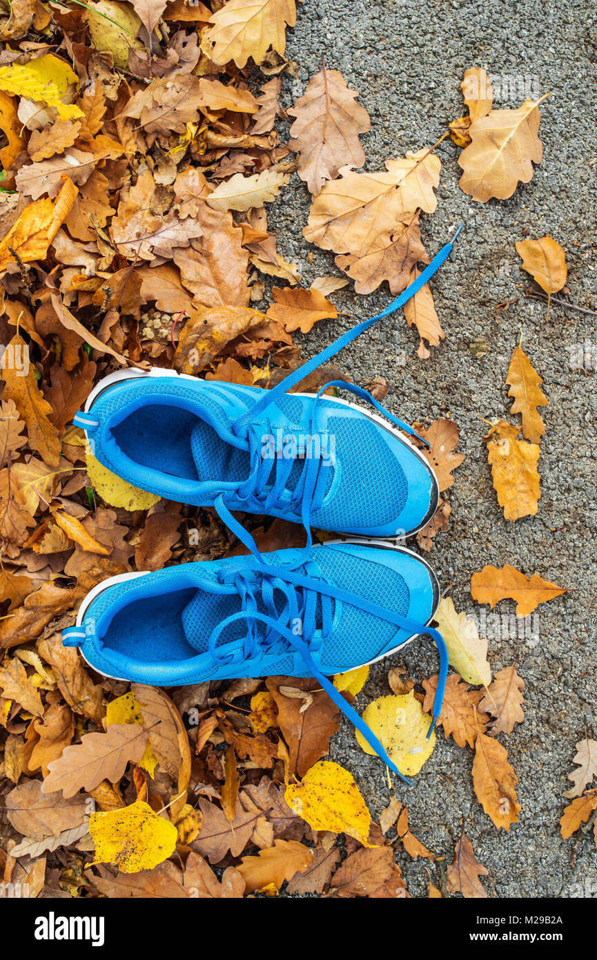 Blue trainers on colorful leaves on the ground Stock Photo - Alamy