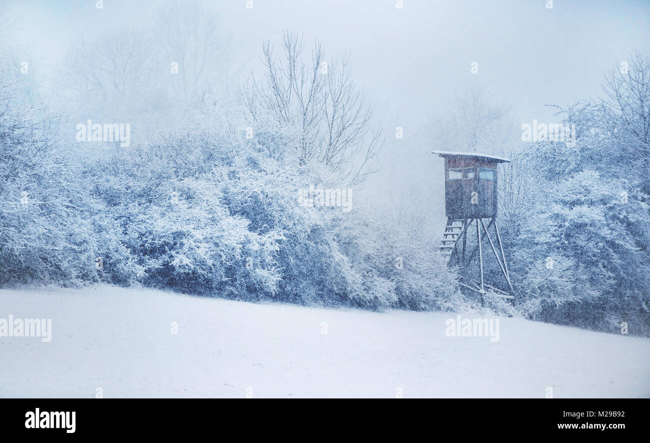 Hunting Hide. Winter in Central Europe. Snowfall. White and Blue ...