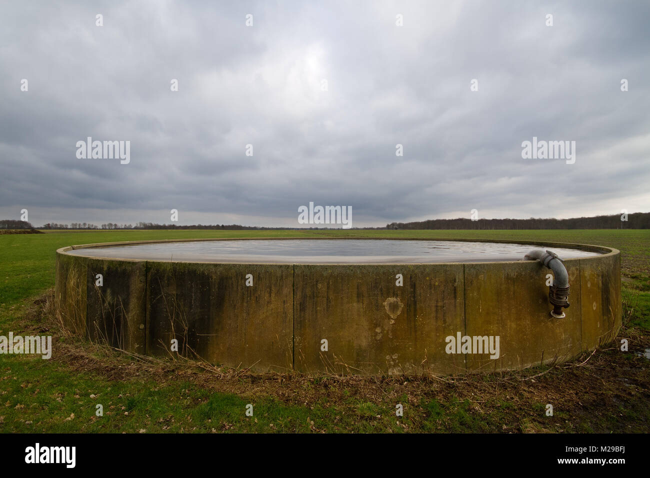 Concrete storage tank for manure, filled to the brim Stock Photo - Alamy