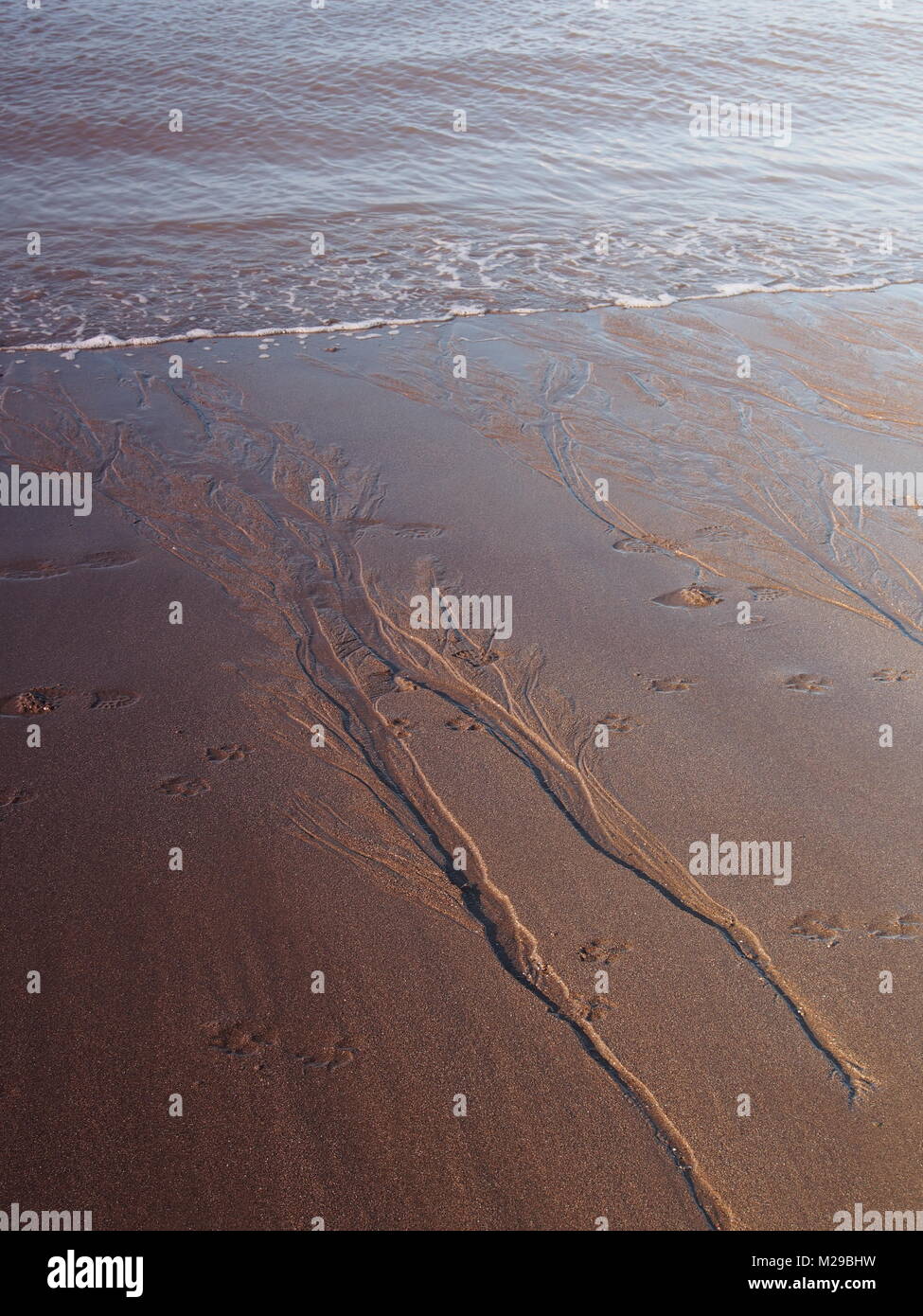 Wave highlighted by sunlight hi-res stock photography and images - Alamy