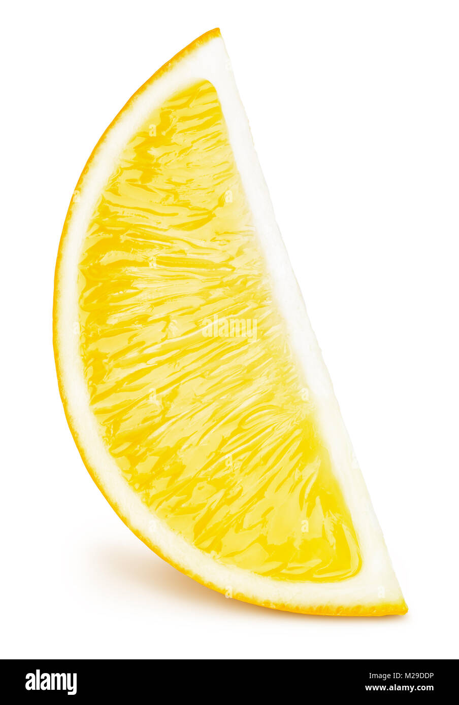 Lemon fruit slice isolated standing Stock Photo - Alamy