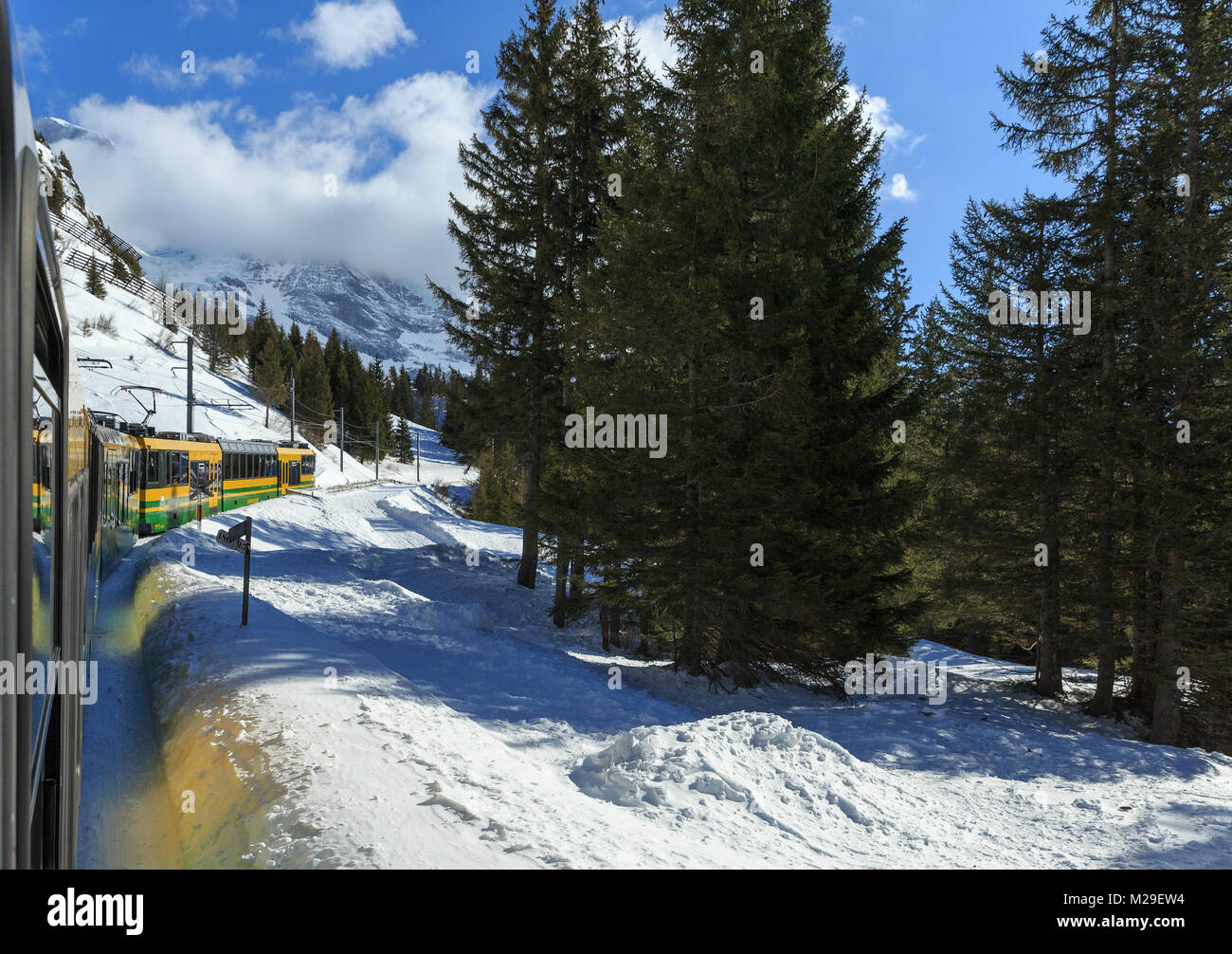 train and snow on road in winter with pine tree and blue sky Stock ...