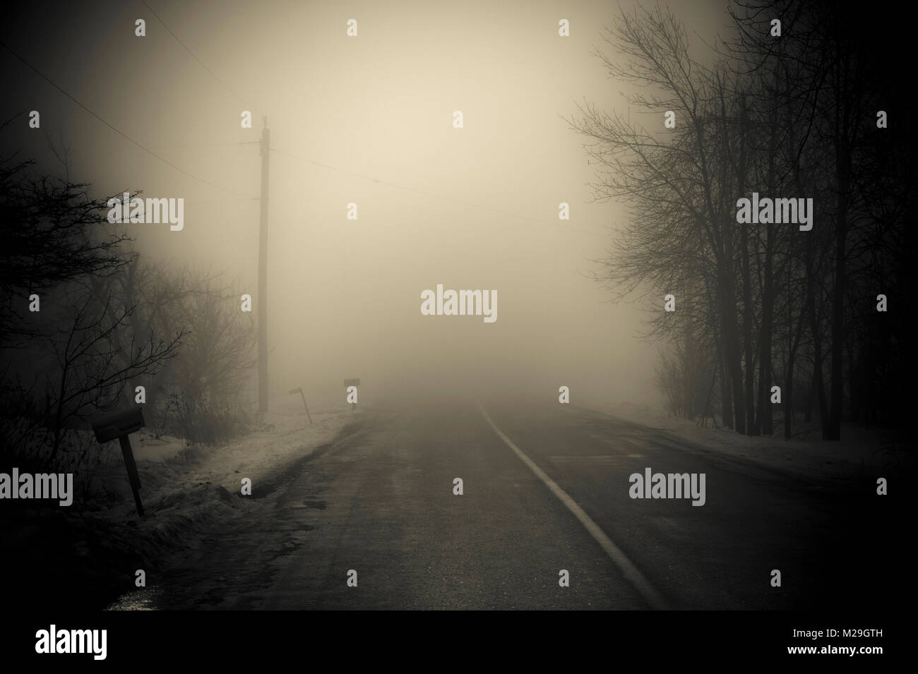Country road in fog Stock Photo - Alamy