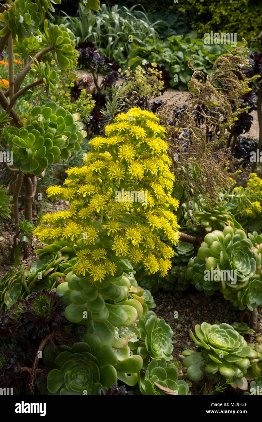 East ruston old vicarage hi-res stock photography and images - Alamy