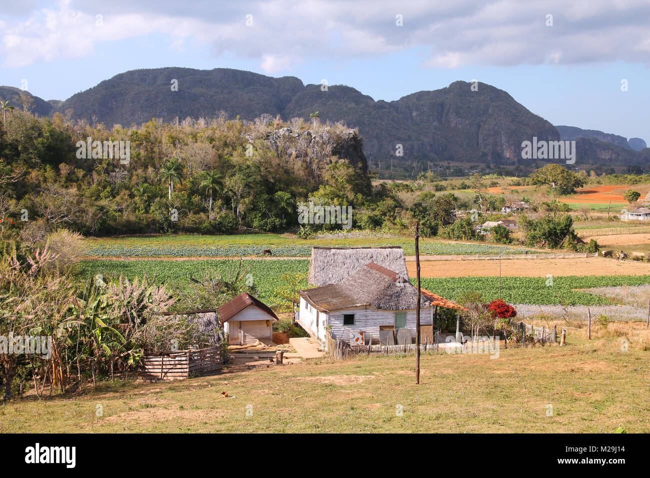 Village in Vinales National Park, Cuba. Mogote mountains Stock Photo ...