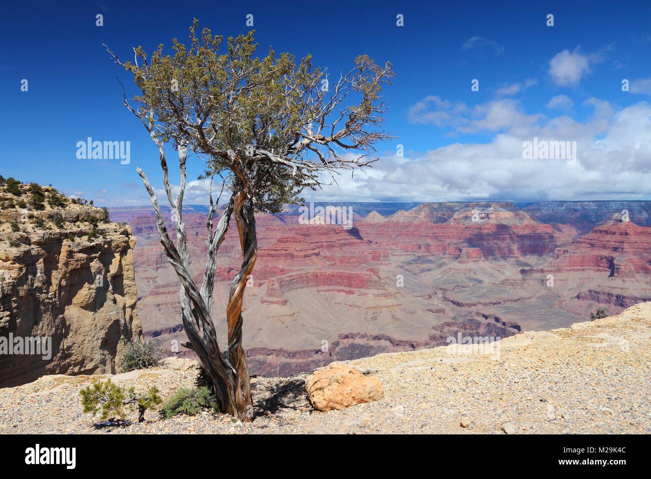 Grand Canyon National Park in Arizona, United States. Mather Point view ...
