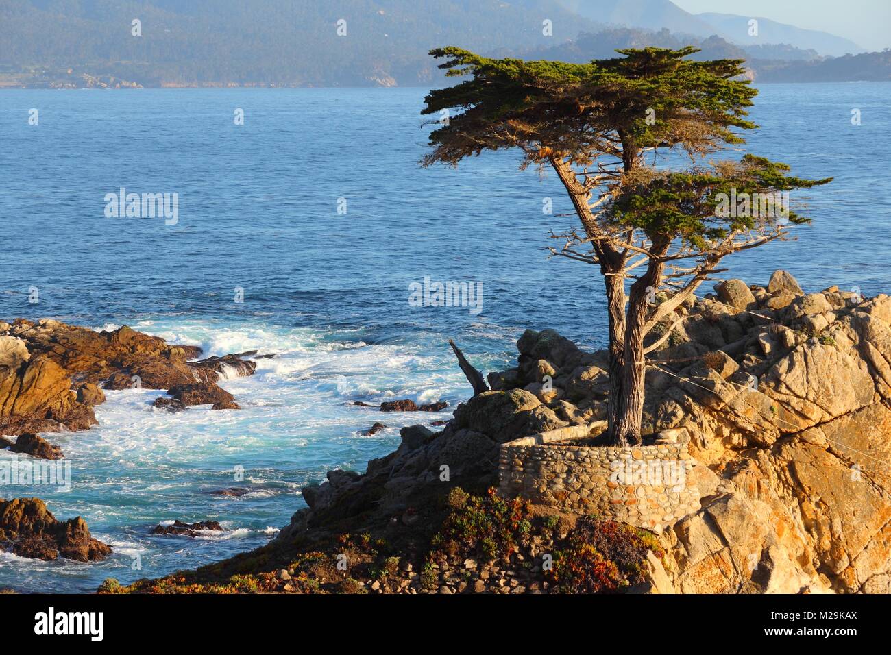 MONTEREY, CALIFORNIA - APRIL 7, 2014: Lone Cypress tree view along ...