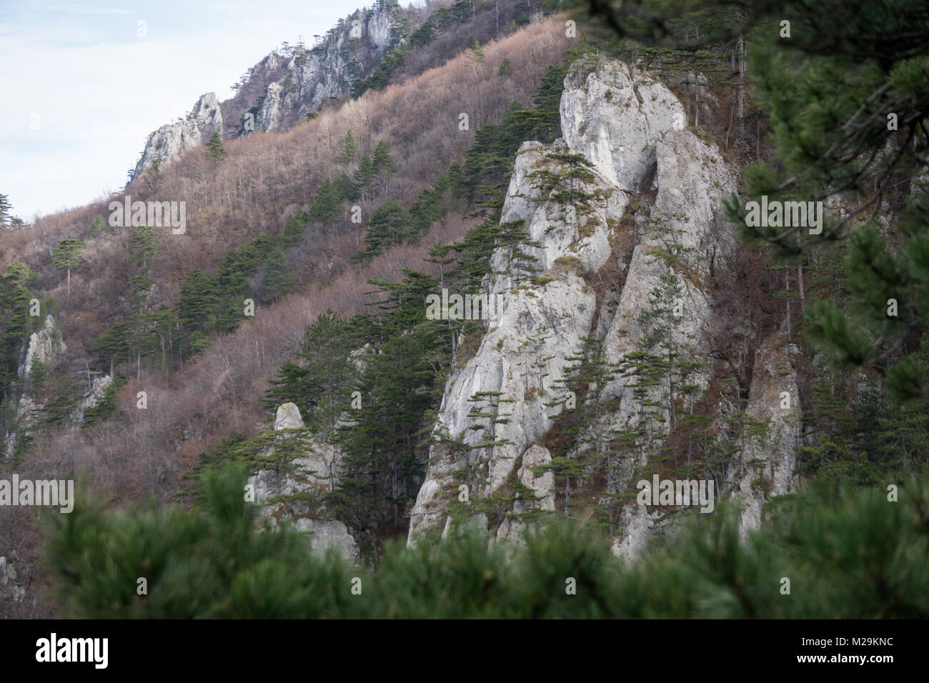 Beautiful scenery in the Cerna mountains of southern Romania Stock ...