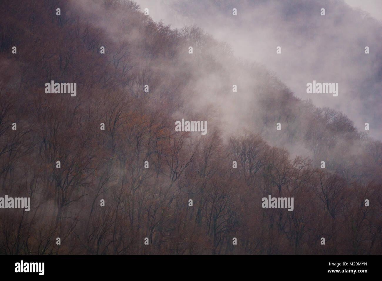 Late autumn scenery hi-res stock photography and images - Alamy