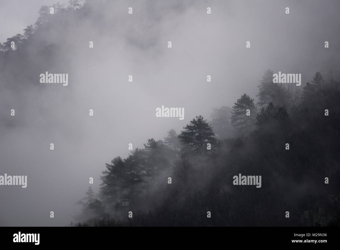 Dark, mysterious landscape in the haunted mountains of Romania Stock ...