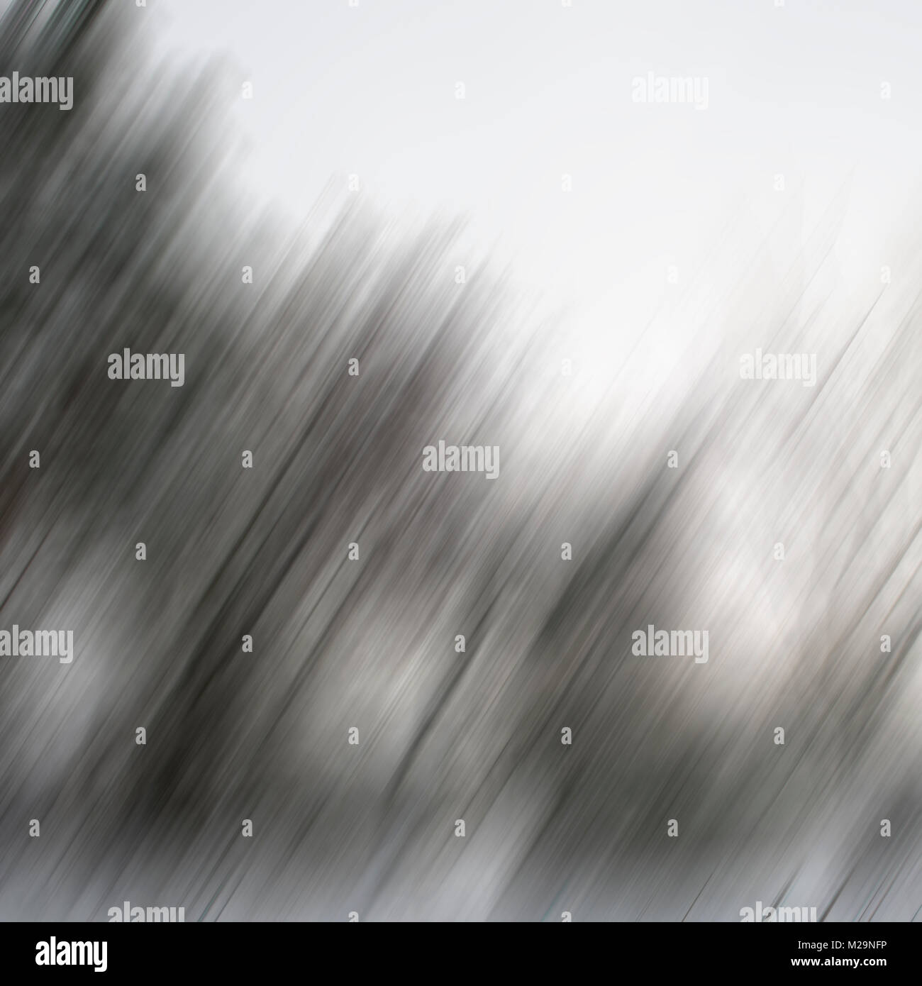 abstract blurry white background. Diagonal black lines on white. Design ...