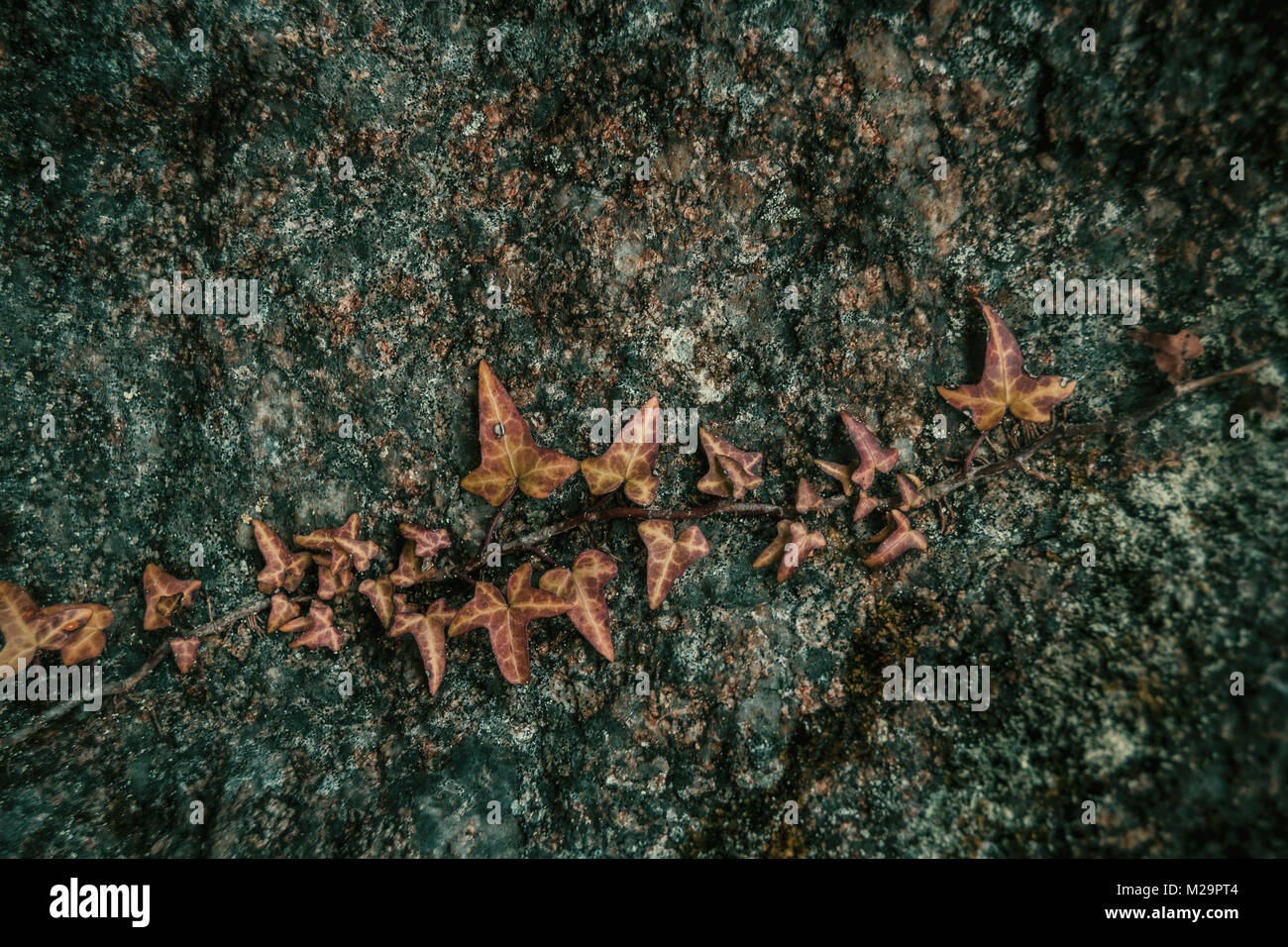 Helix shapes hi-res stock photography and images - Alamy