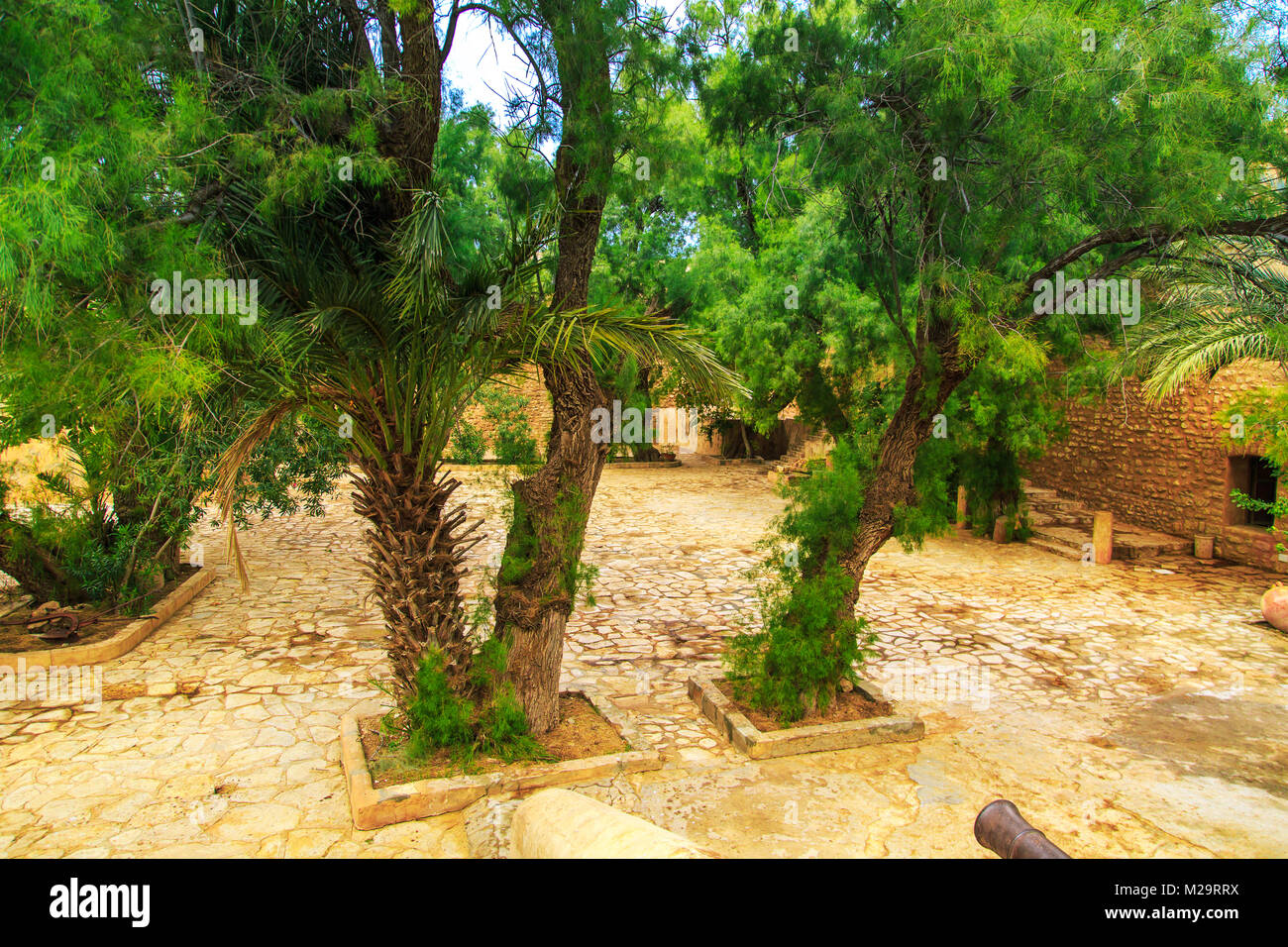 Fortress Kasbah is the medieval landmark located in Hammamet, North ...