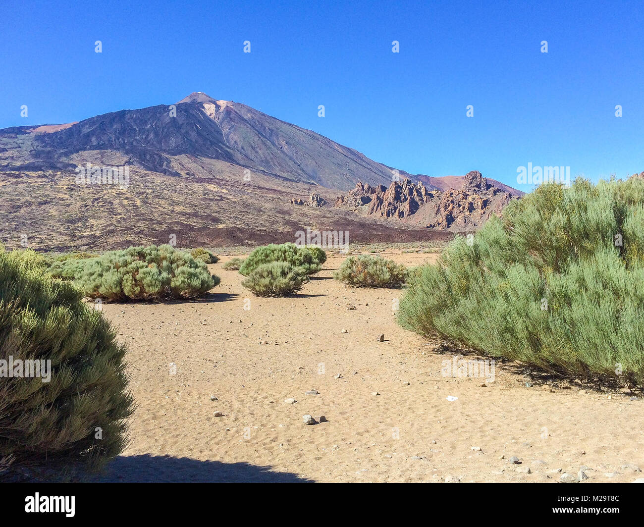 Foreground bushes hi-res stock photography and images - Alamy