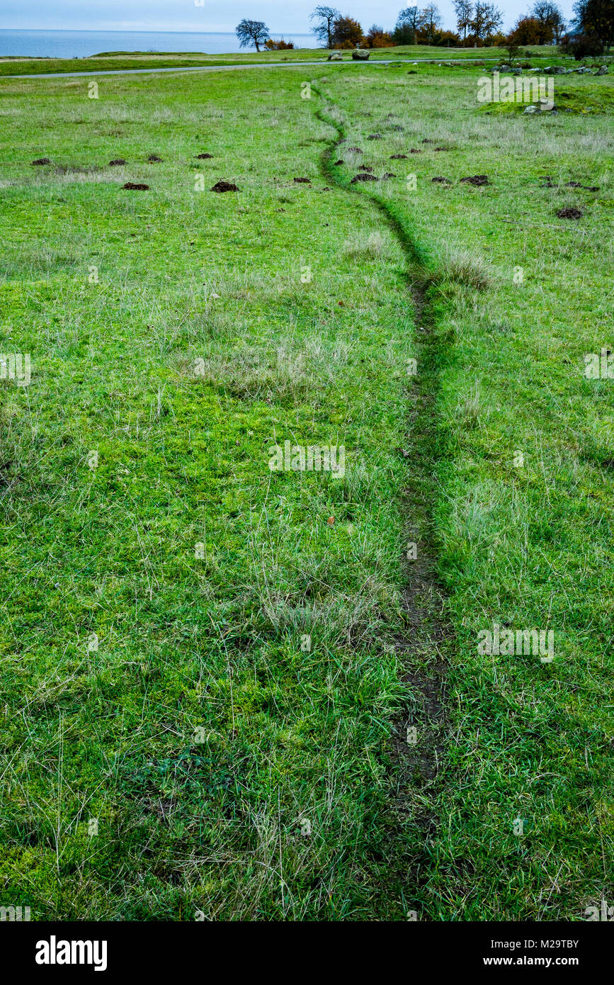 Sheep tracks hi-res stock photography and images - Alamy