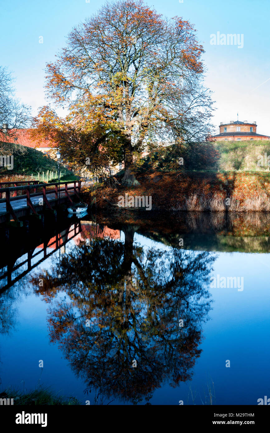 A big oak at the castle with the fosse in front Stock Photo - Alamy