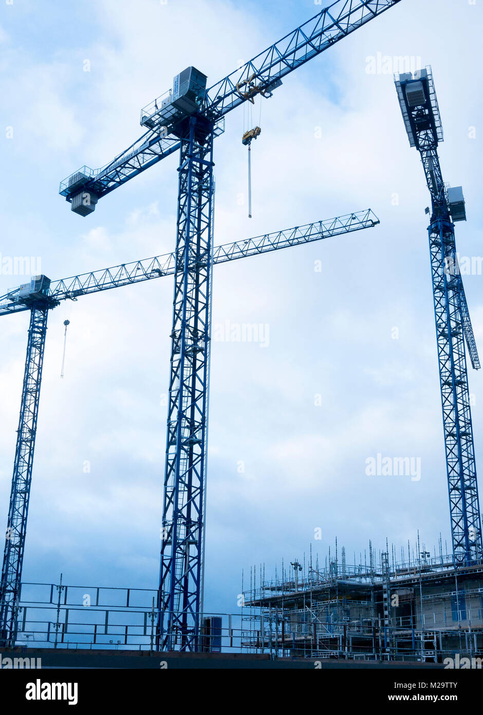 Three cranes standing still- Shot from a low angle. Cranes against the ...