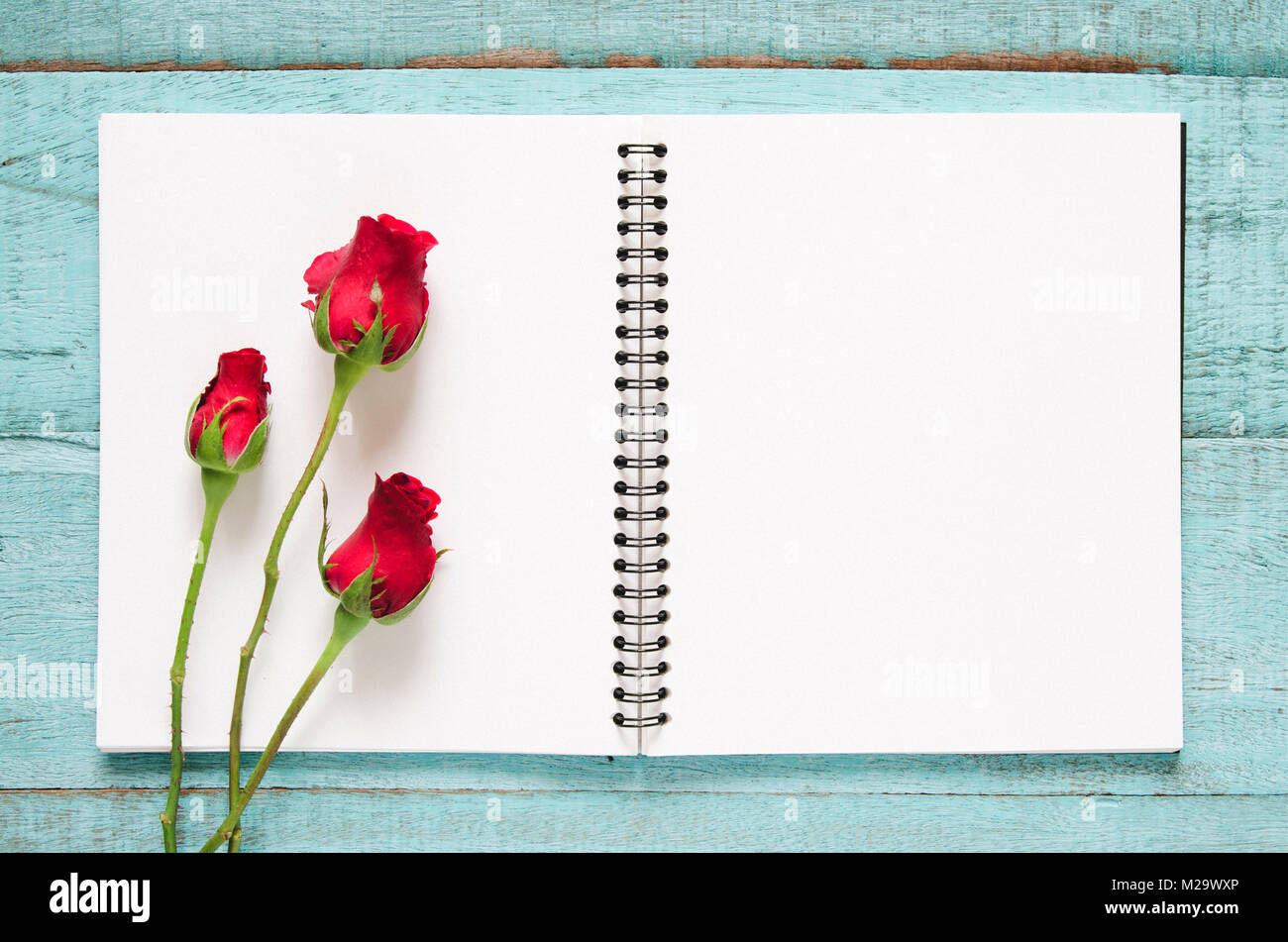 Red rose flowers and blank notebook on blue wooden background.Top view ...