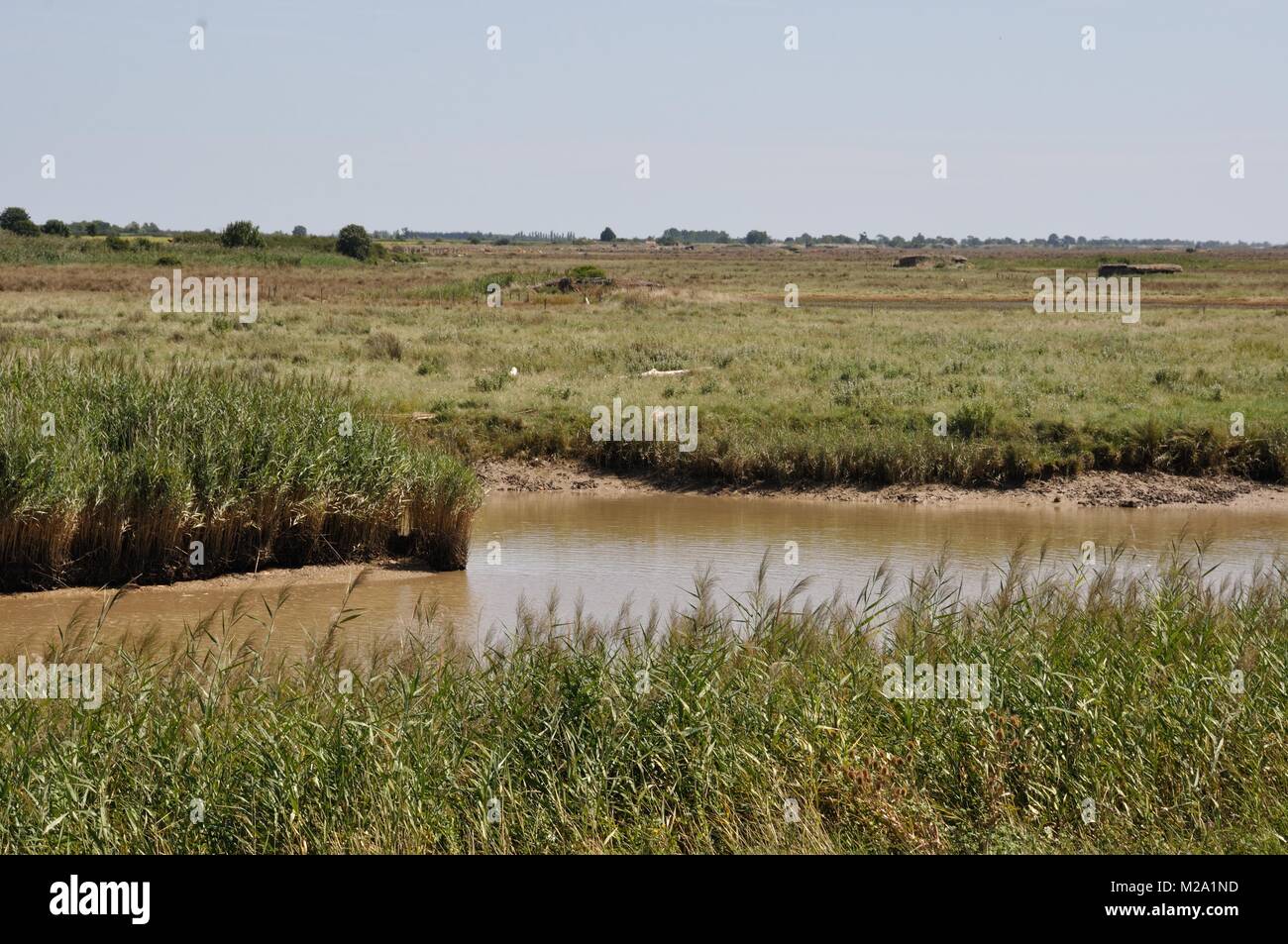 Marsh in Charentes Stock Photo - Alamy
