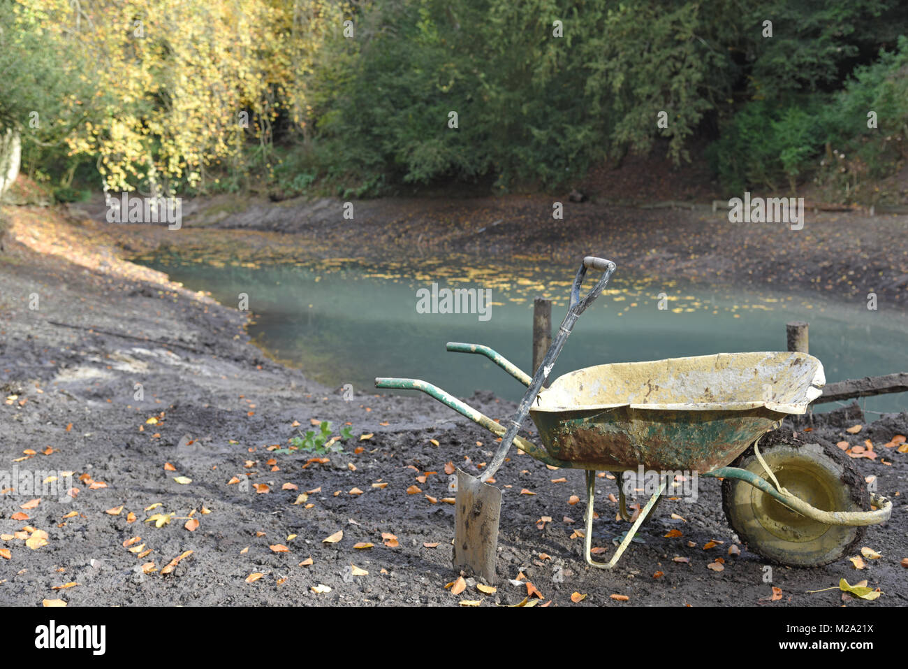Silent Pool near Guildford Surrey invasive weed cleared Stock Photo - Alamy