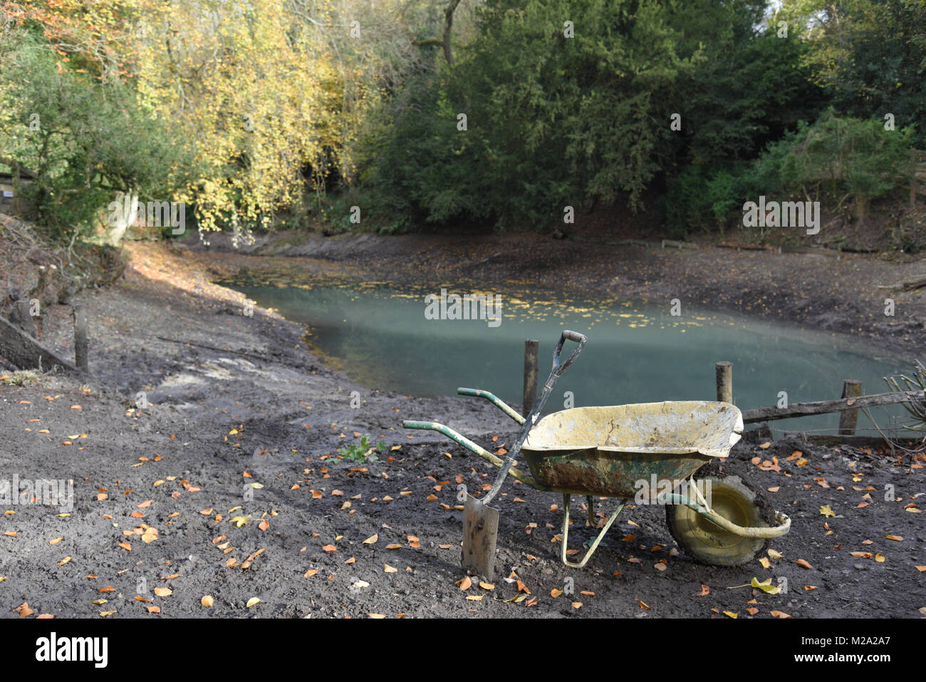 Silent Pool near Guildford Surrey invasive weed cleared Stock Photo - Alamy