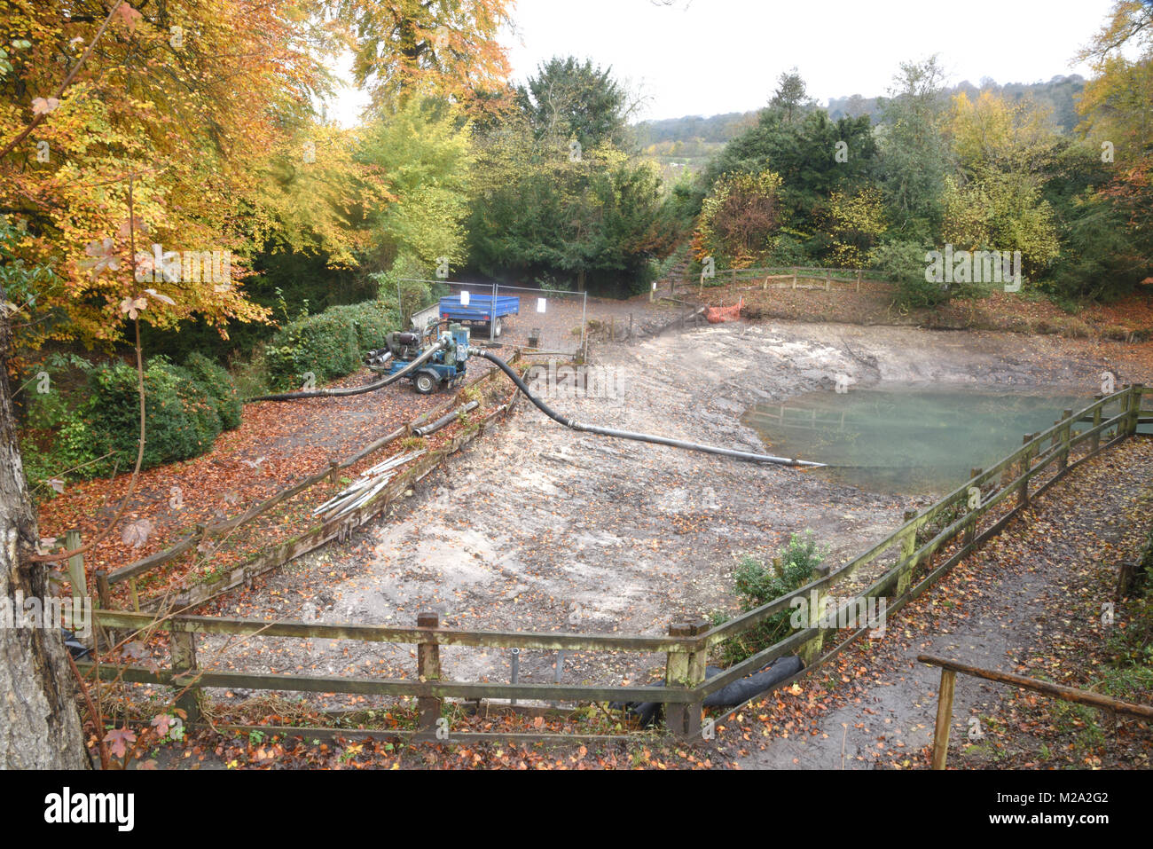 Silent Pool near Guildford Surrey invasive weed cleared Stock Photo - Alamy