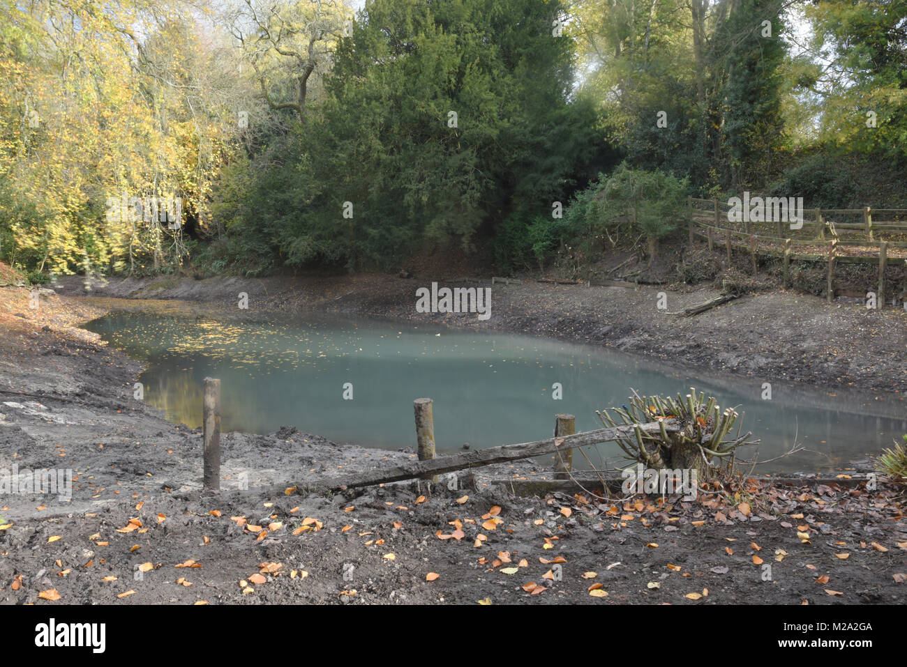 Silent Pool near Guildford Surrey invasive weed cleared Stock Photo - Alamy
