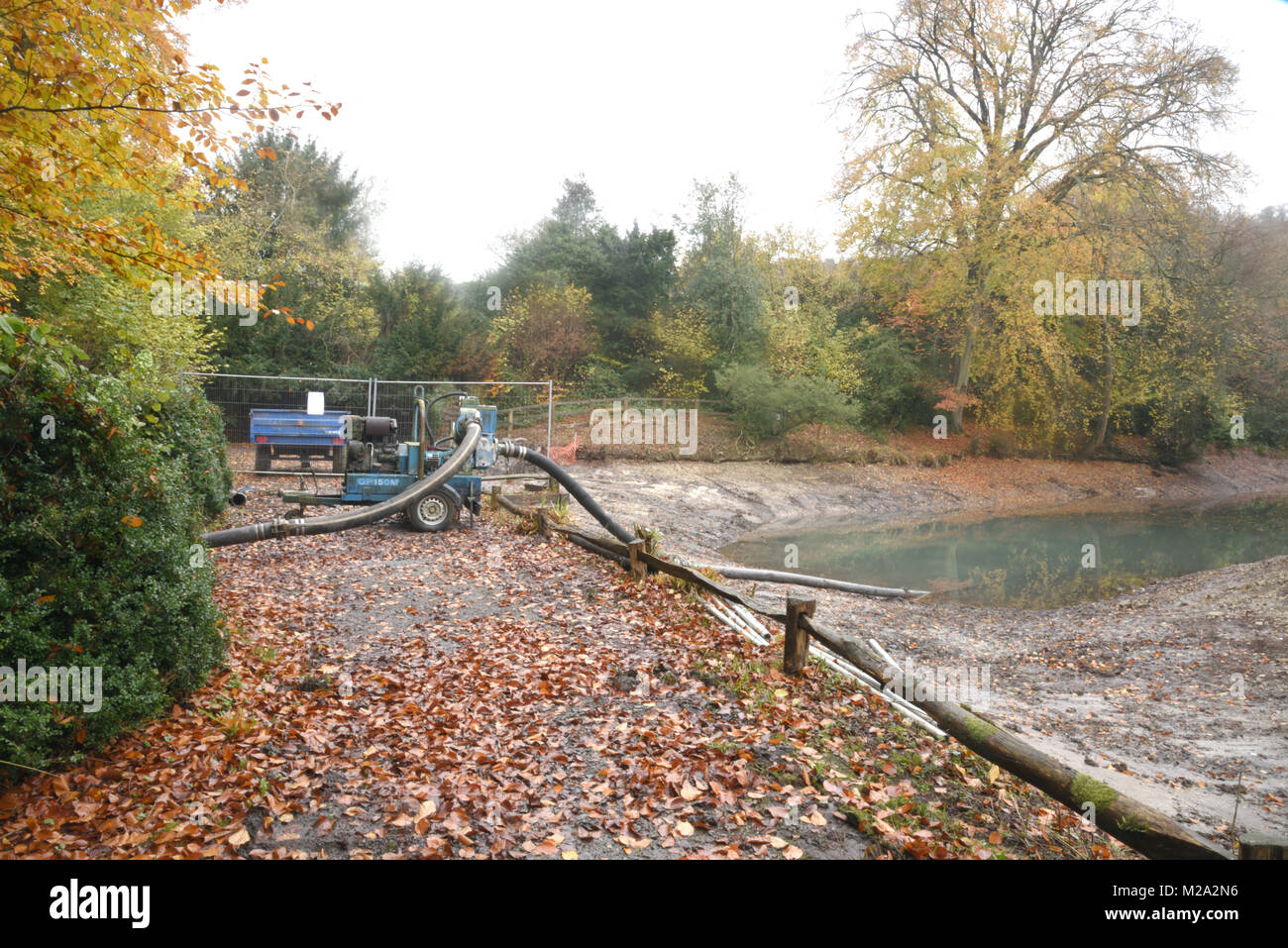 Silent Pool near Guildford Surrey invasive weed cleared Stock Photo - Alamy
