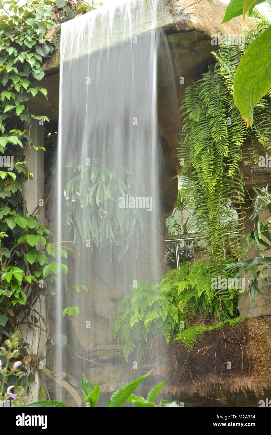 Vine like plants hi-res stock photography and images - Alamy