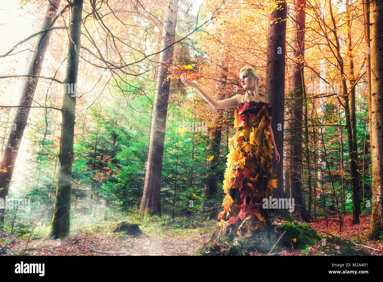 Land art fall leaf hi-res stock photography and images - Alamy