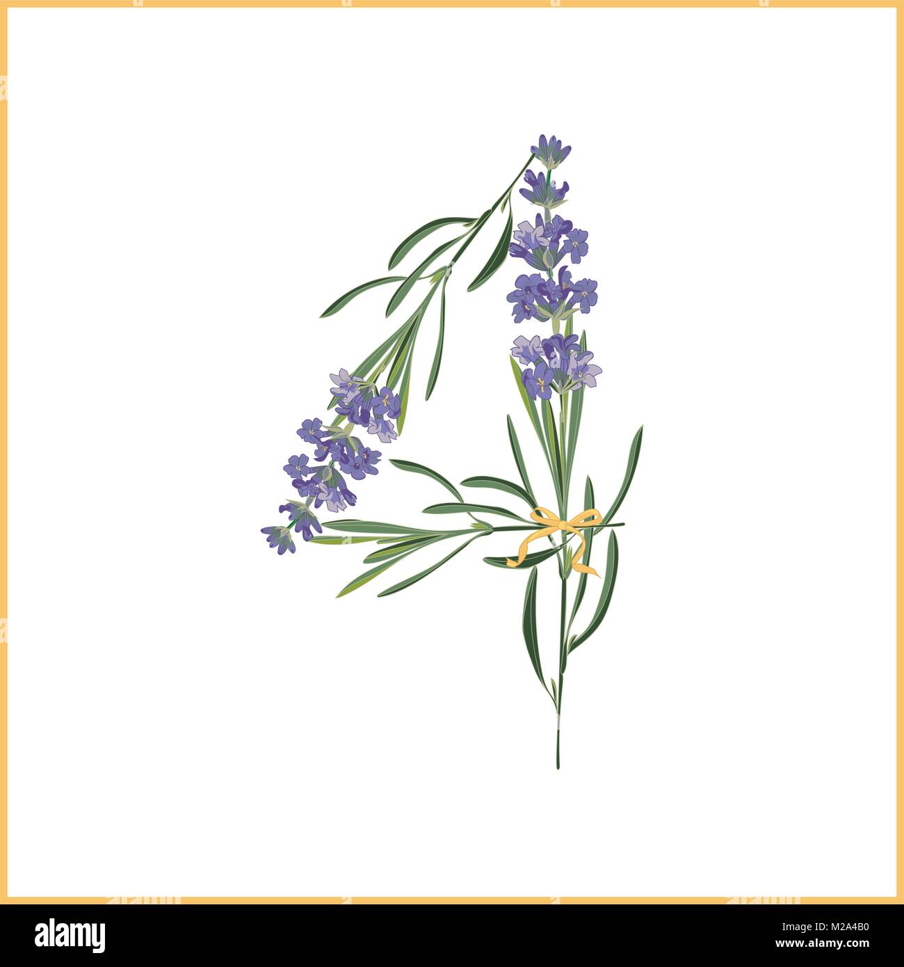Digit 4 monogram. Retro sign alphabet with lavender flower initial ...