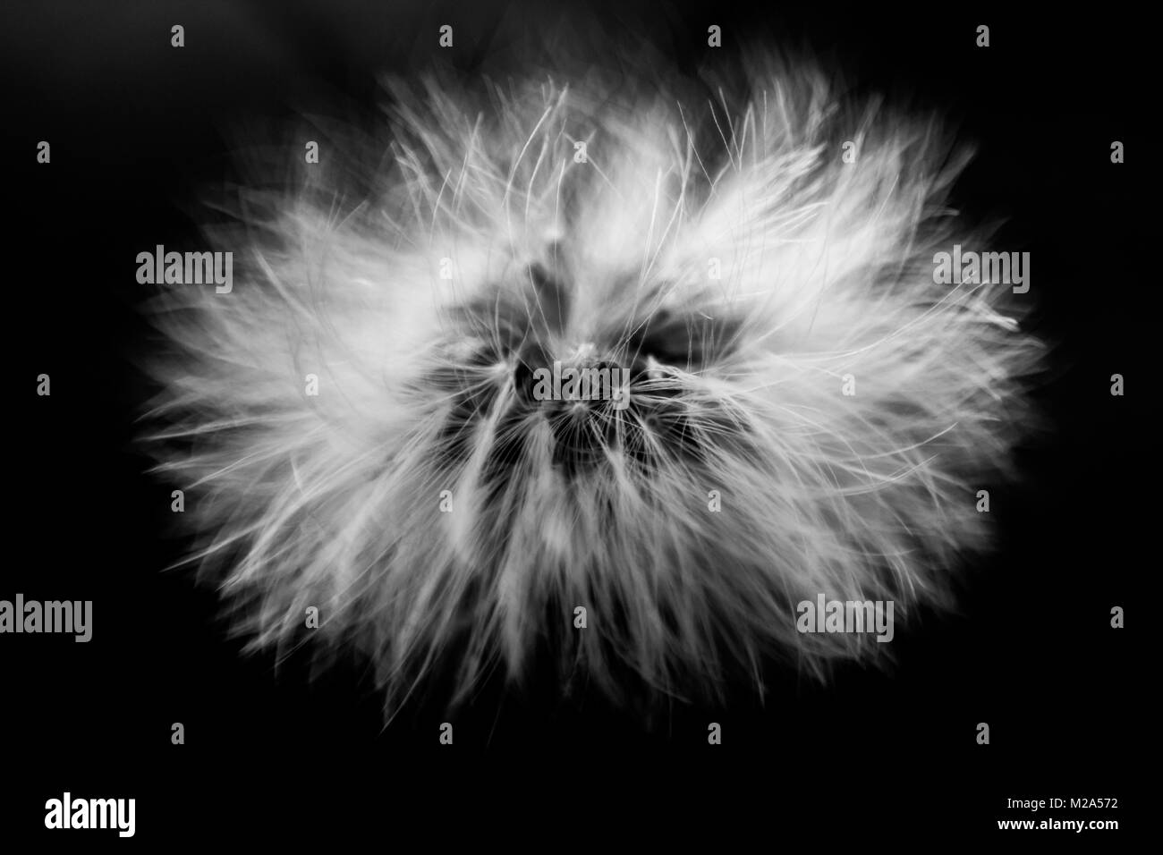 Ordinary spring Black and White Stock Photos & Images - Alamy