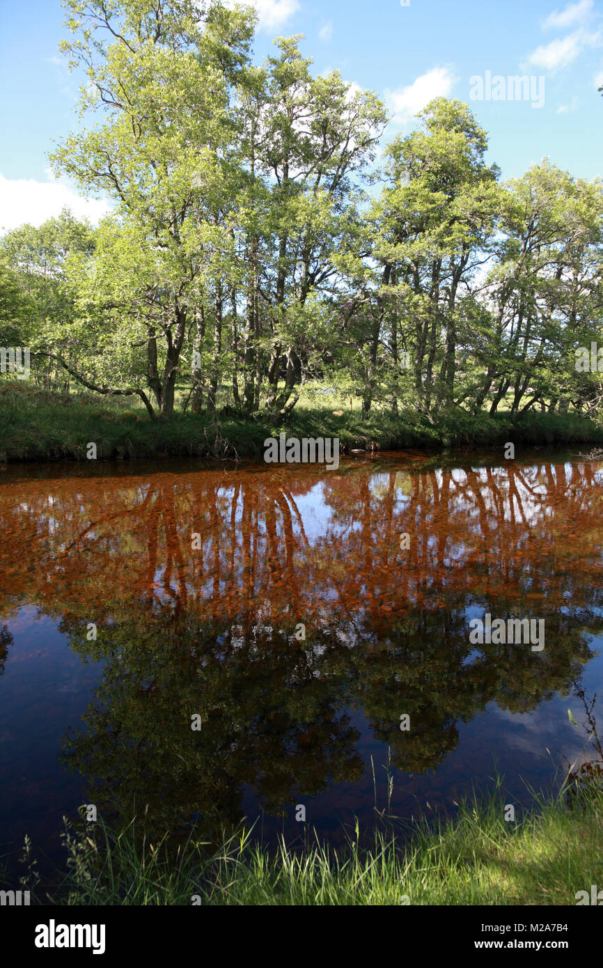 The river Tanar on the Glen Tanar estate which flows into the River Dee ...