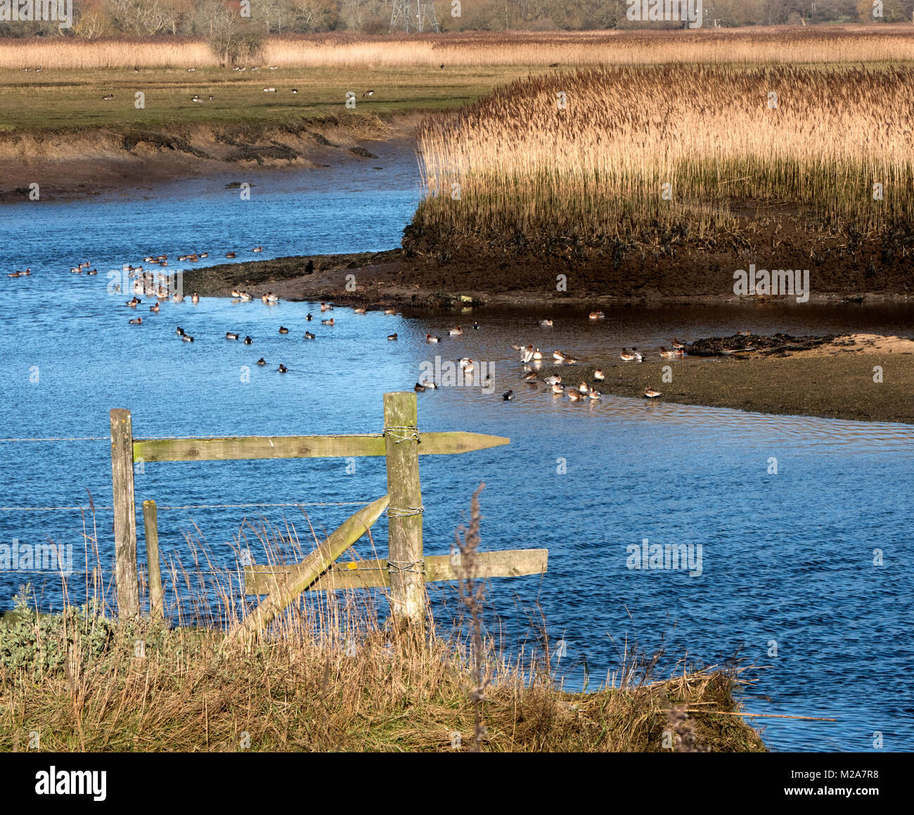 Lower test nature reserve hi-res stock photography and images - Alamy