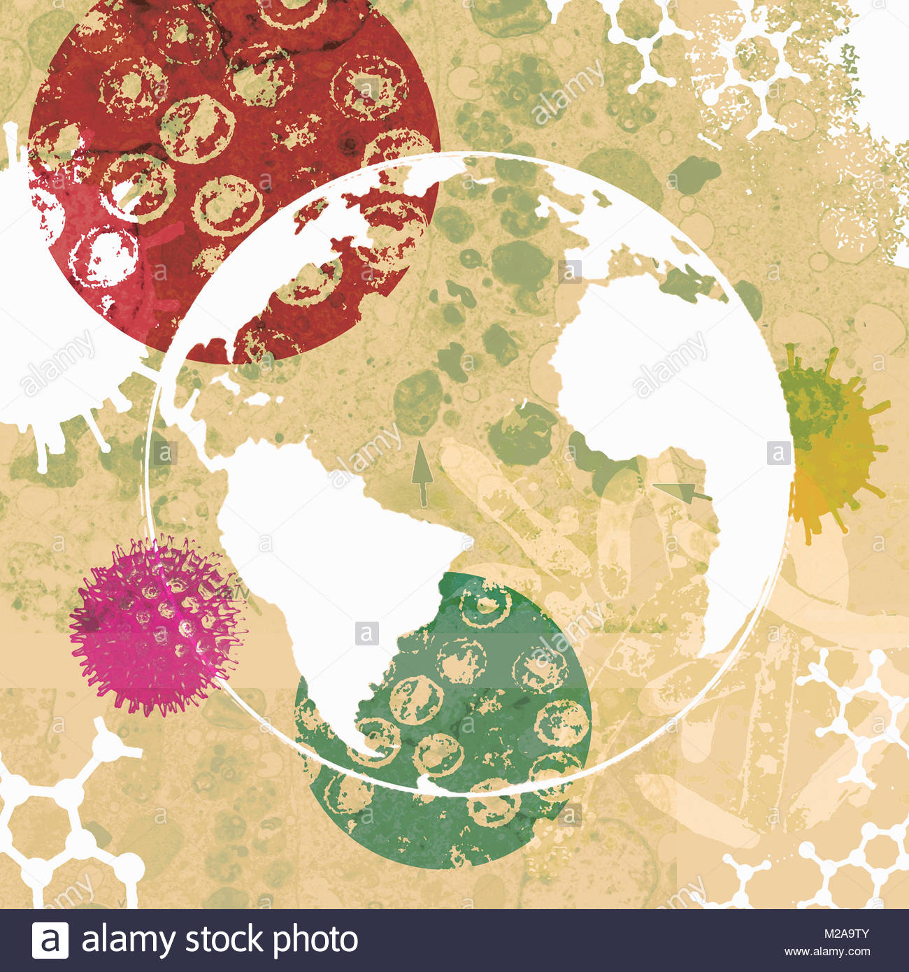 Viruses And Bacteria Stock Photos & Viruses And Bacteria Stock Images ...