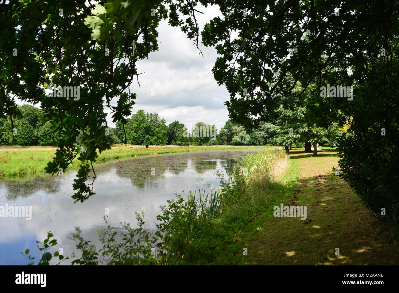 Beside the river, beauty, England, fauna, flora, Great Britain ...