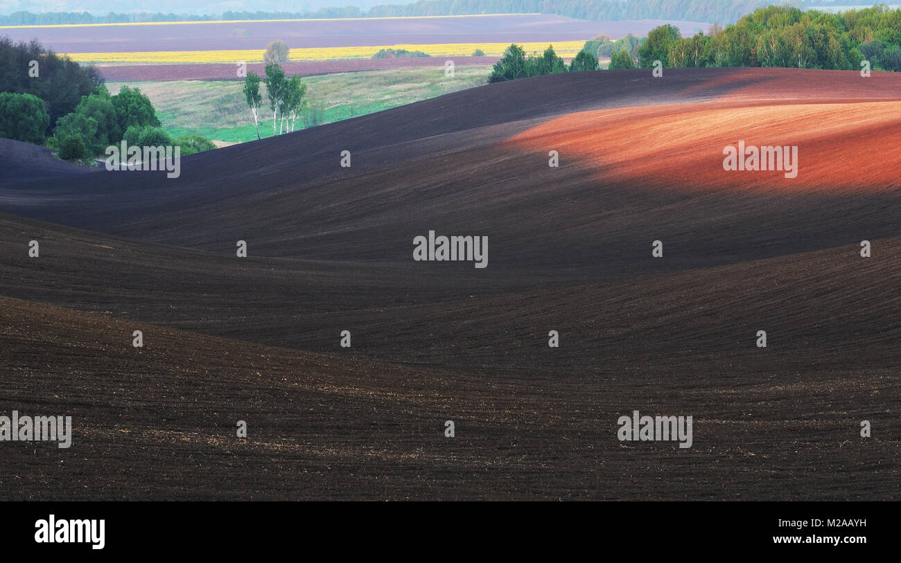 hilly field. picturesque hills of the spring field Stock Photo - Alamy