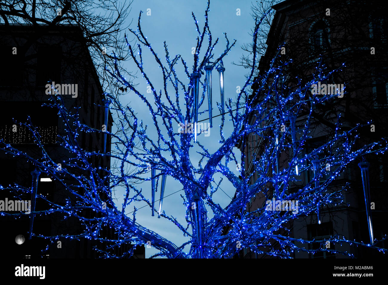 A picture of a tree without leaves with a Christmas decoration. The ...