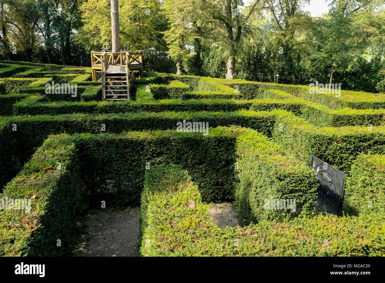 A detail of the maze from the living fence in the castle garden Stock ...