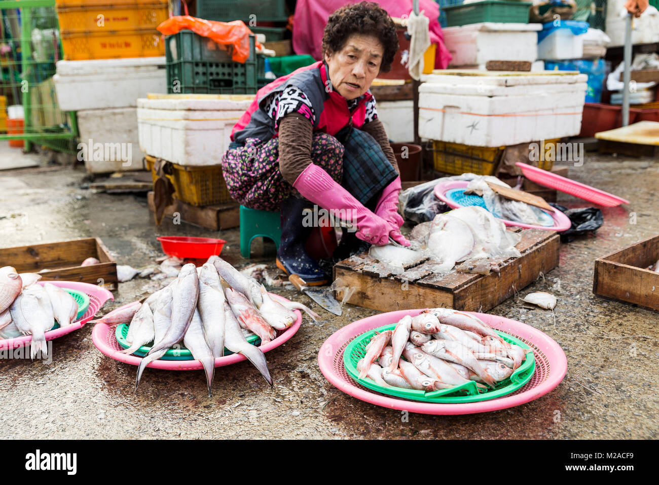 Woman cleaning fish hi-res stock photography and images - Alamy