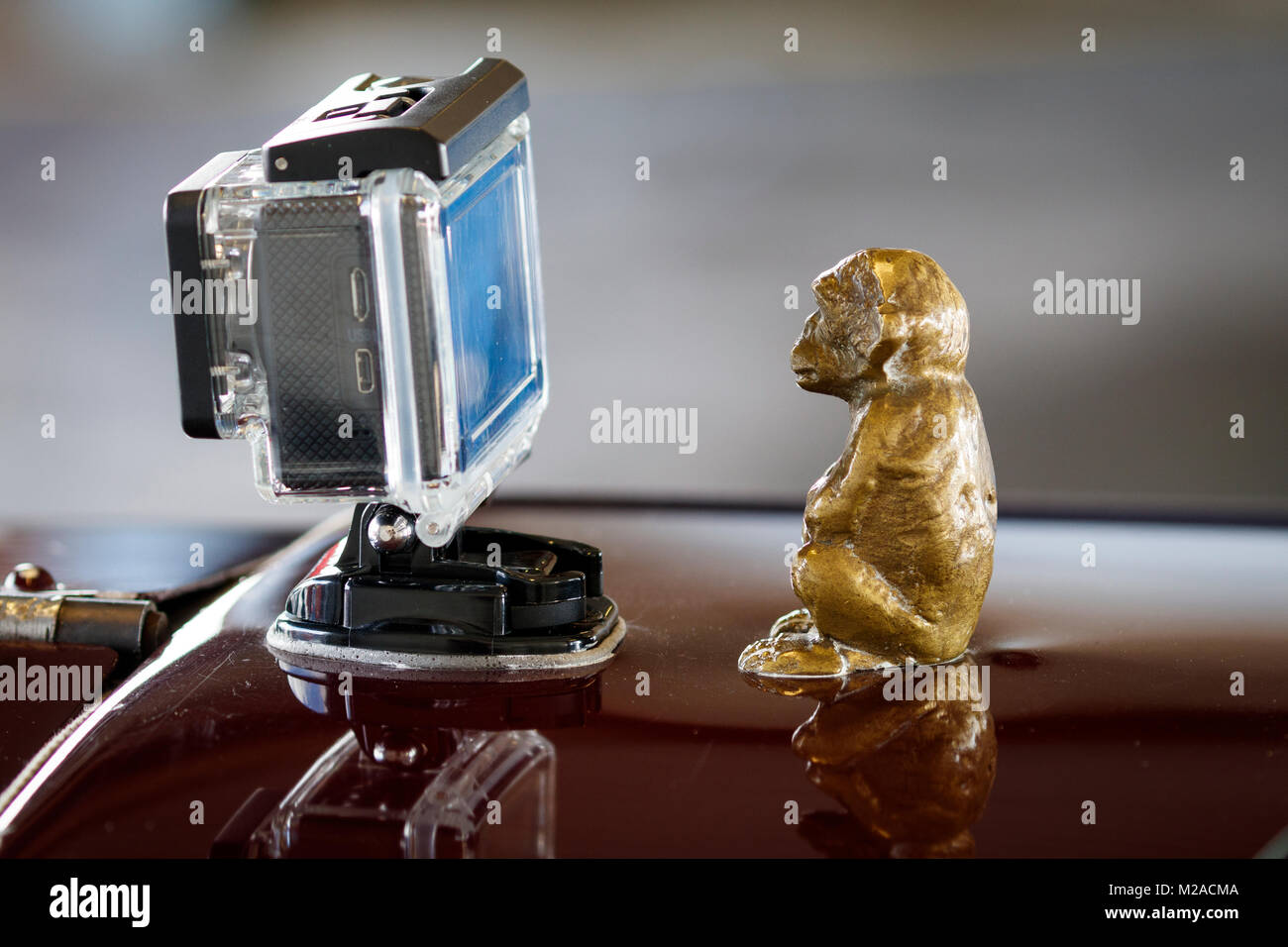 Figure of a monkey looking at the screen of GoPro camera at the 2017 ...