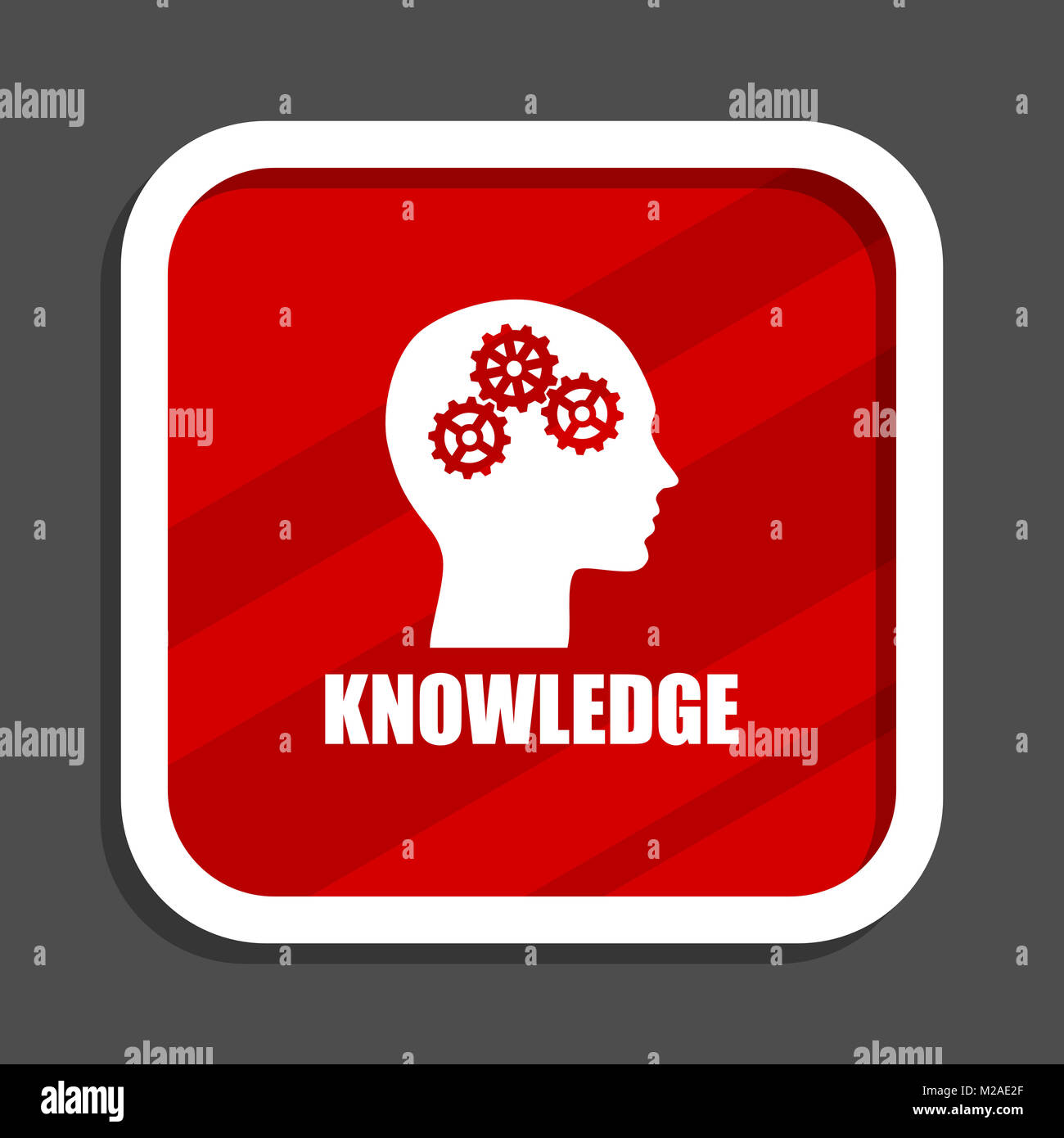 Knowledge icon. Flat design square internet banner Stock Photo - Alamy