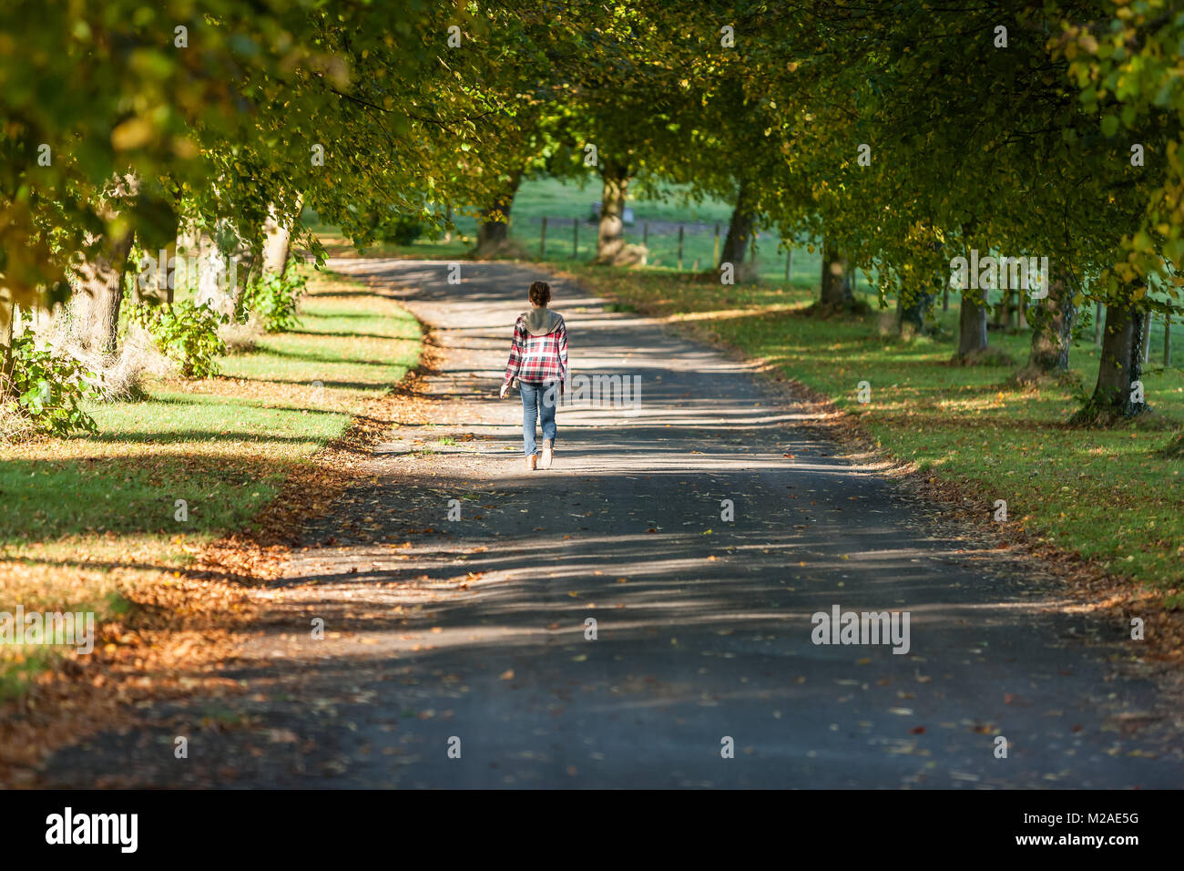 English countryside walking hi-res stock photography and images - Alamy