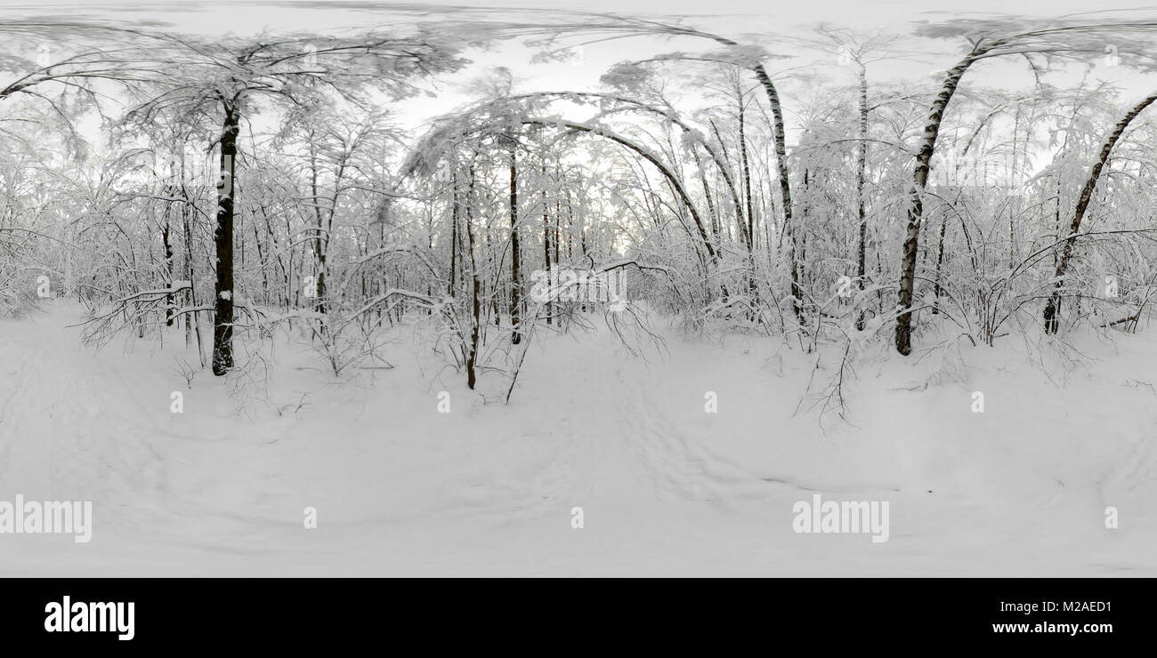 360 VR panorama of forest in the snow in winter Stock Photo - Alamy